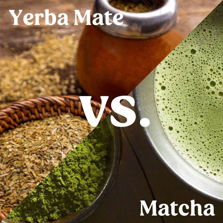 Matcha vs Yerba Mate – MatchaLand
